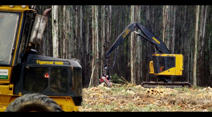 About Tigercat | Tigercat