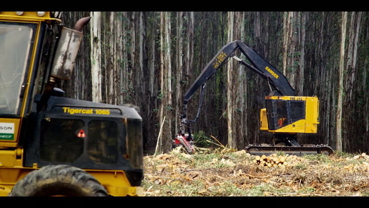 Tigercat 20 Film | Logging Videos | Tigercat Forestry Equipment