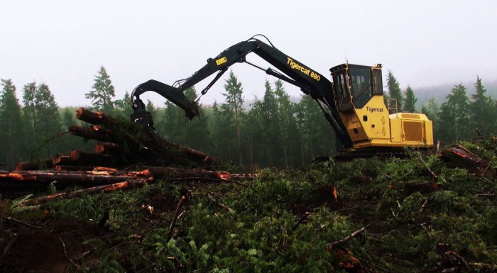 View Tigercat videos of Machines Felling and Shovel Logging | Tigercat TV