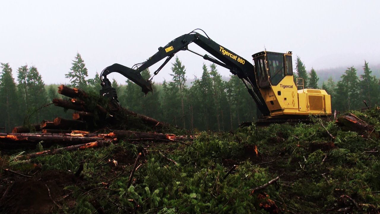 West Cost Shovel Logging | Tigercat Forestry | Tigercat TV