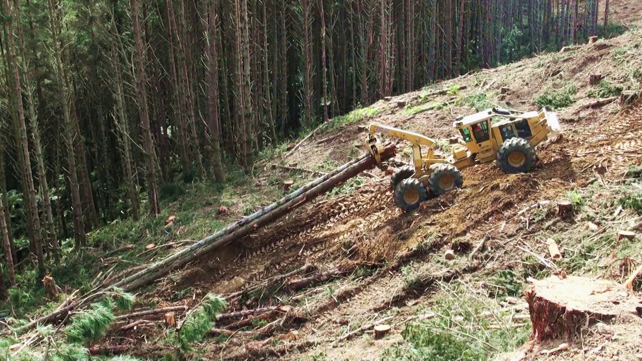 Steep Slope Skidding | Tigercat Forestry | Tigercat TV