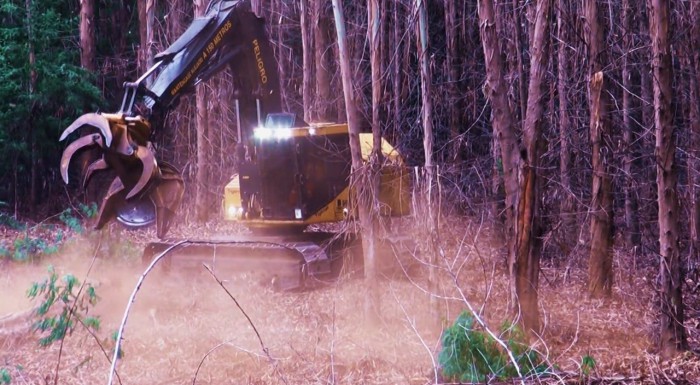 Astillado en Chile - Tigercat