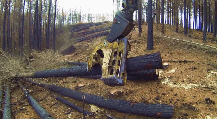 View Tigercat Videos Of Machines Felling And Shovel Logging Tigercat Tv