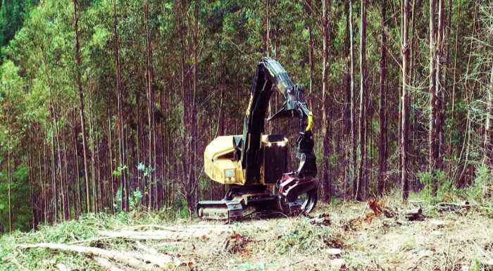 View Tigercat Videos Of Machines Felling And Shovel Logging Tigercat Tv