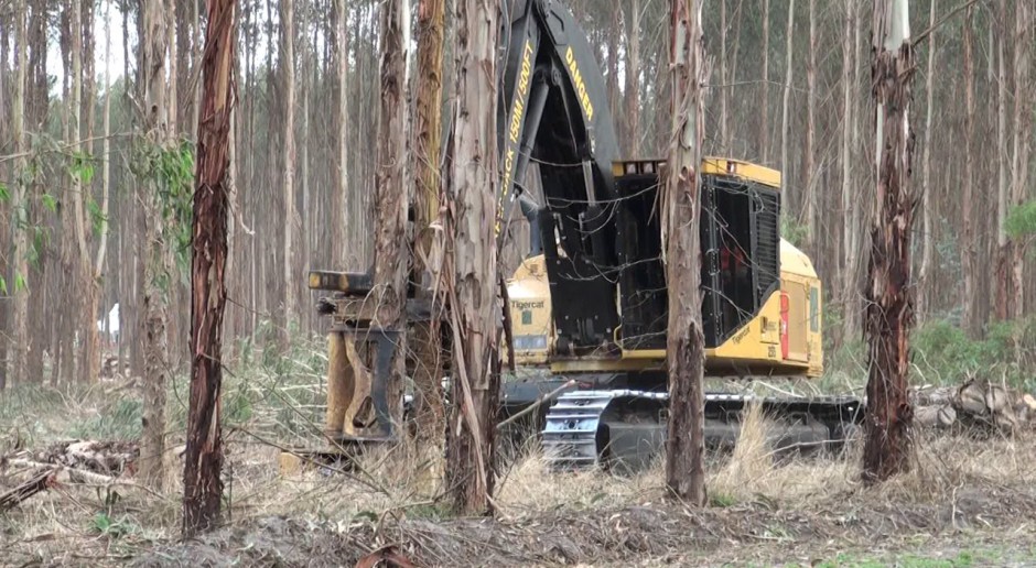 Douglas Logging: 635D skidder | Tigercat