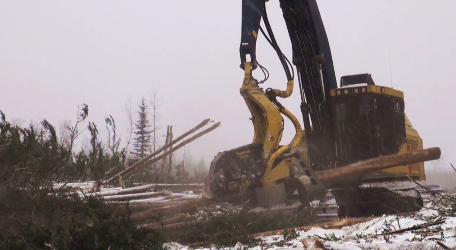 Head Count in Saskatchewan - Tigercat