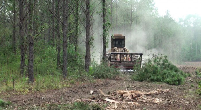 M726G Mulcher | Land Clearing | Tree Mulcher | Tigercat Forestry
