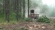 M726G Mulcher | Land Clearing | Tree Mulcher | Tigercat Forestry