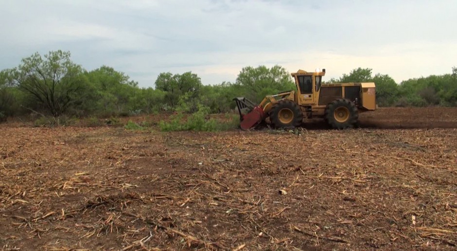 M726G Mulcher | Land Clearing | Tree Mulcher | Tigercat Forestry