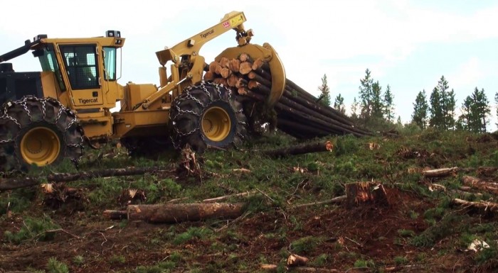 Watch Video of Skidders in Action | Forestry Videos | Tigercat TV
