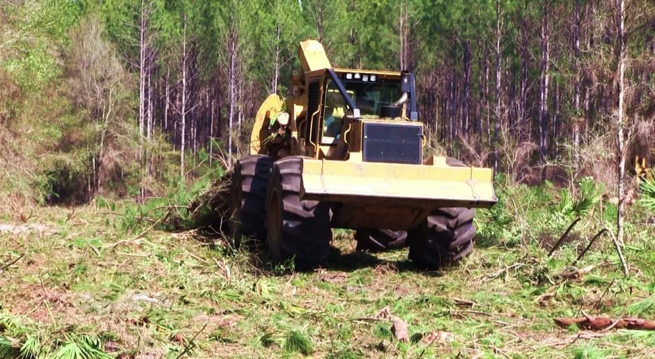 Watch Video of Skidders in Action | Forestry Videos | Tigercat TV