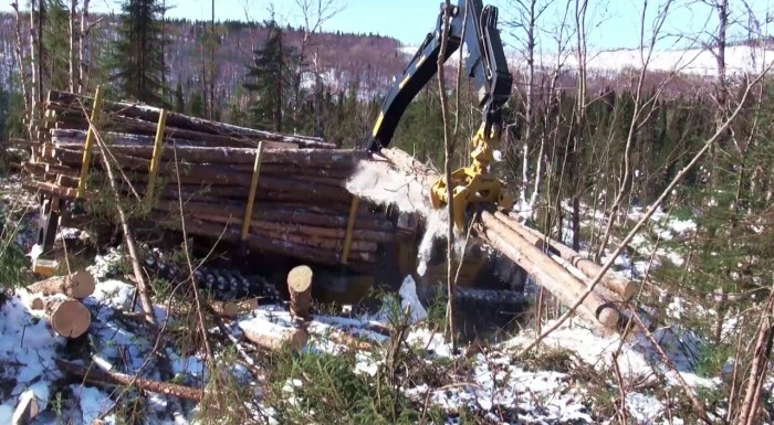 Low-wide bunk system | Log forwarders | Tigercat cut-to-Length Forestry