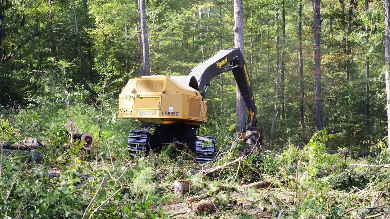 Tigercat 5195 Directional Felling Saw | Tigercat Forestry | Tigercat TV