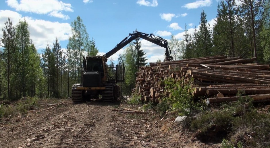Watch Video of Log Forwarders in Action | Forestry Videos | Tigercat TV