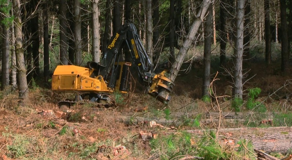 Watch Video of Track Feller Bunchers in Action | Tigercat TV