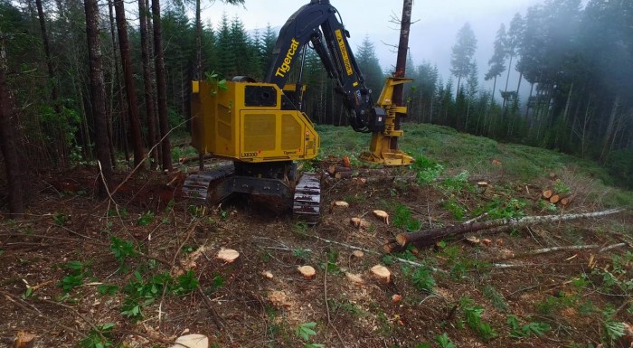 LX830E Feller Buncher | Steep Slope Felling | Tigercat TV
