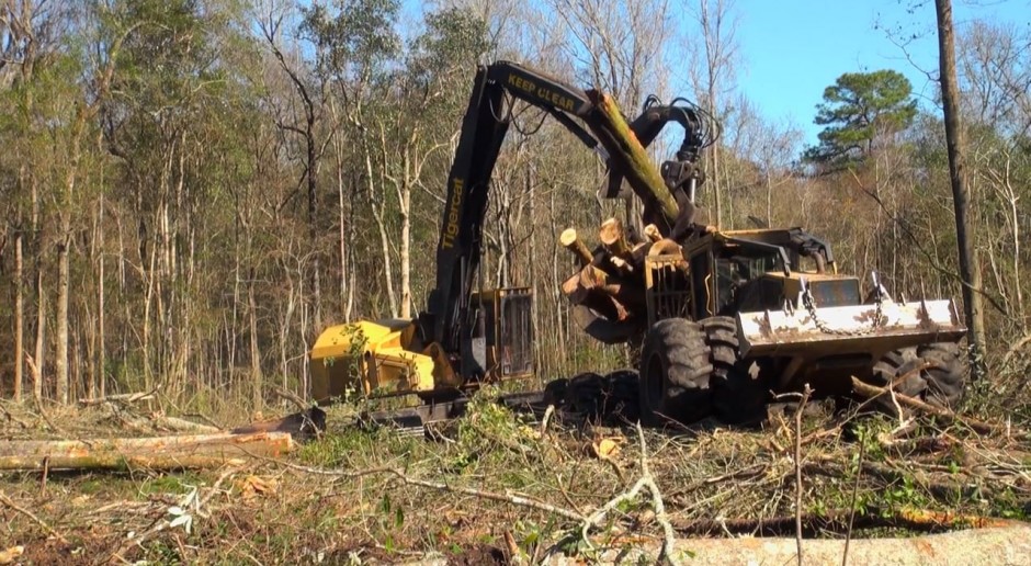 C640H Clambunk Skidder | H-series skidders in action | Tigercat TV