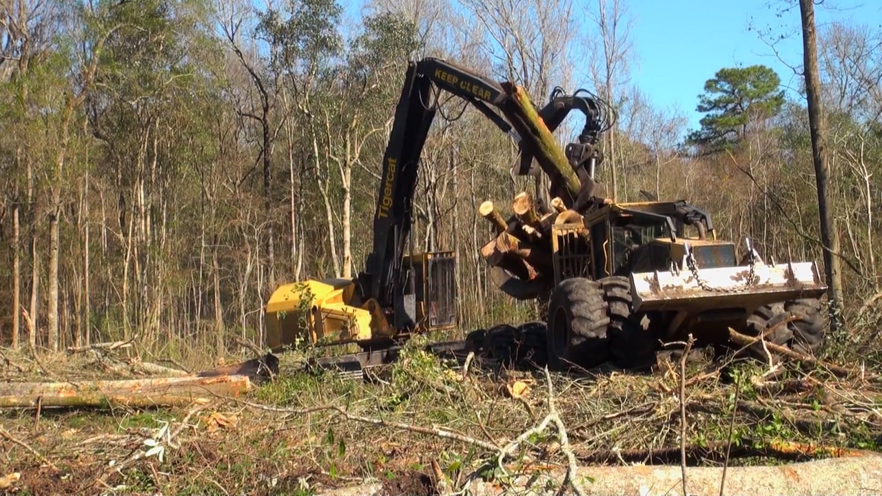 Clambunk Skidder and Shovel Logger - Tigercat