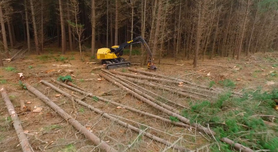View Tigercat videos of Machines Felling and Shovel Logging | Tigercat TV