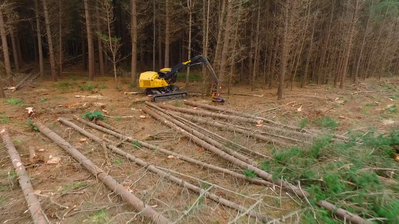 5195 in Tasmania - Tigercat