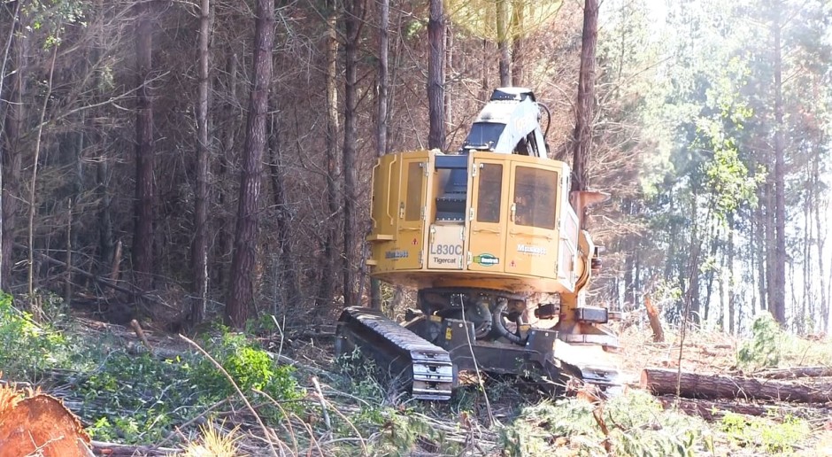 Musketts in Tasmania choose Tigercat harvesting system