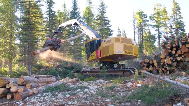 LH855D Harvester in Utah - Tigercat