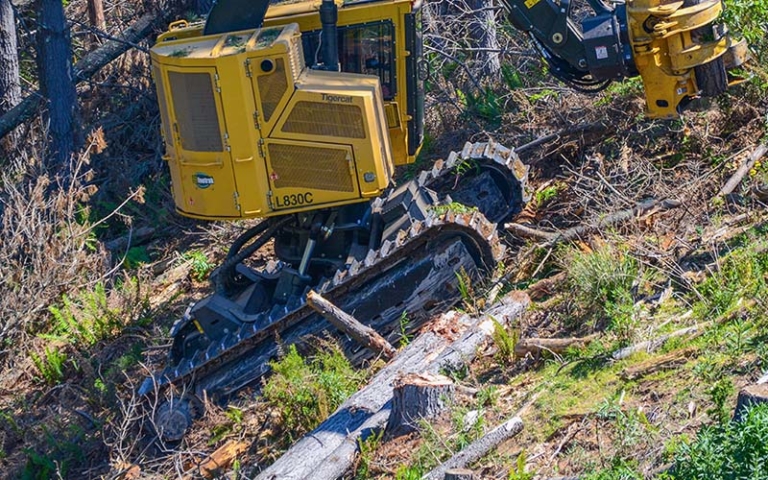 LS857 Shovel Logger | Steep Slope Forestry | Tigercat