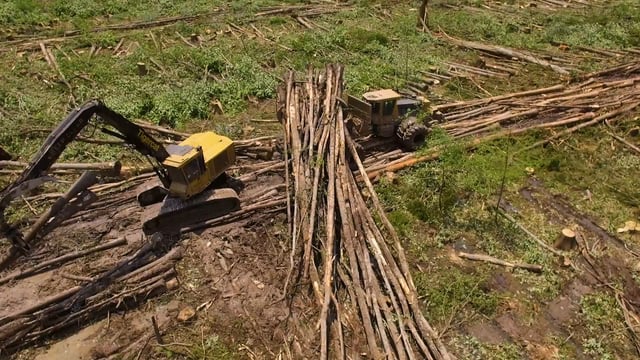 C640E clambunk skidder with S860C shovel logger - Tigercat