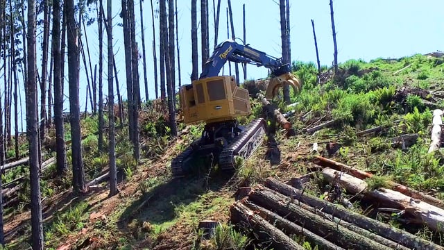 Tigercat TV | Tigercat