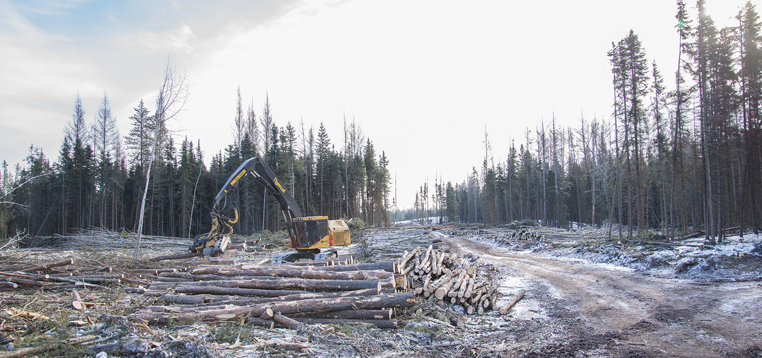 Thomas Logging in Saskatchewan | Customer Features | Tigercat