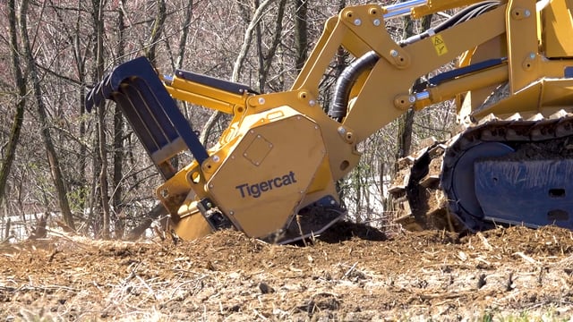 Watch Logging Machines in Action | 480B Mulcher with 4061 | Tigercat