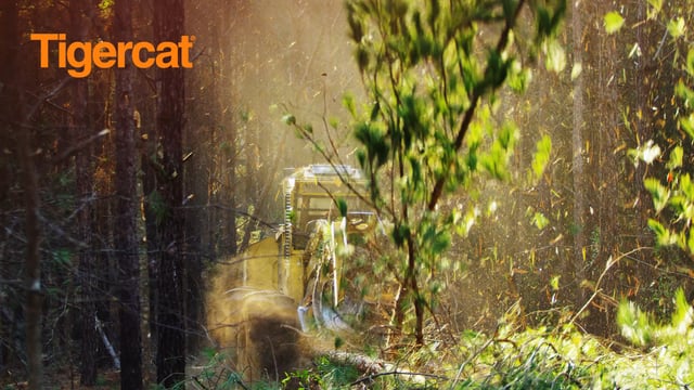 Tigercat TV | Tigercat