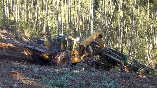 Steep Slope Harvesting | Cable Assisted Logging Videos | Tigercat TV