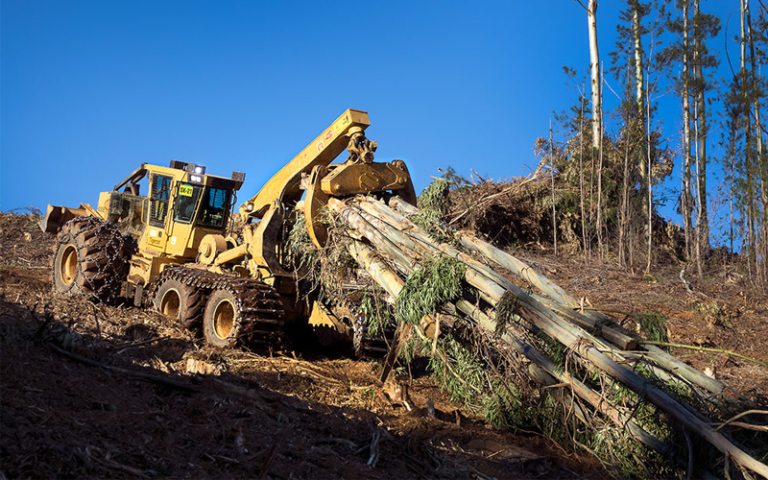 5195 Directional Felling Saw | Big Timber & Steep Terrain | Tigercat
