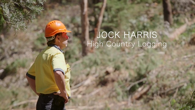 High Country Logging | Video | Cut to Length | Tigercat TV