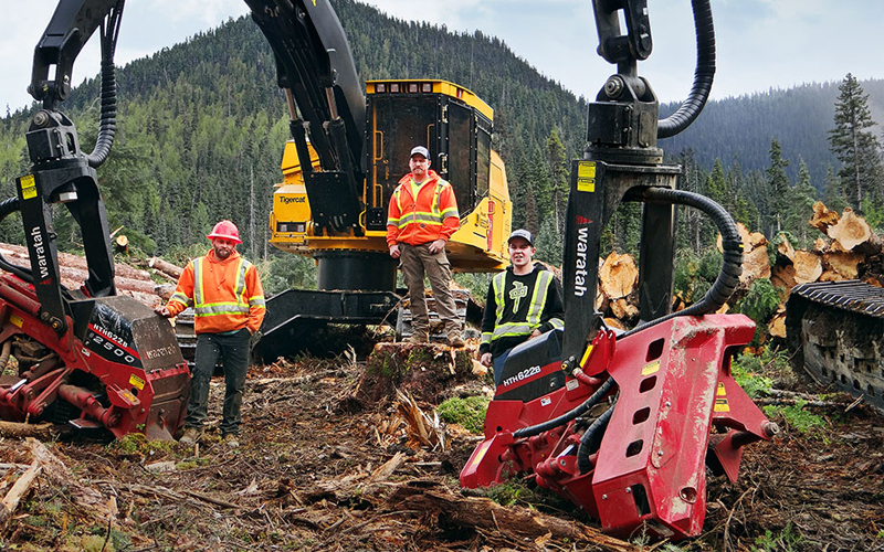 BTB Articles | Forest fires, A logger's perspective | Tigercat