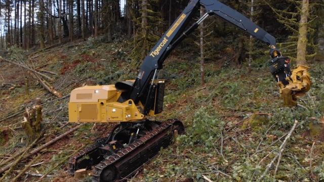 5195 in Tasmania - Tigercat