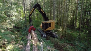 LH822E Track Harvester | Tree Processor | Forest Harvester | Tigercat