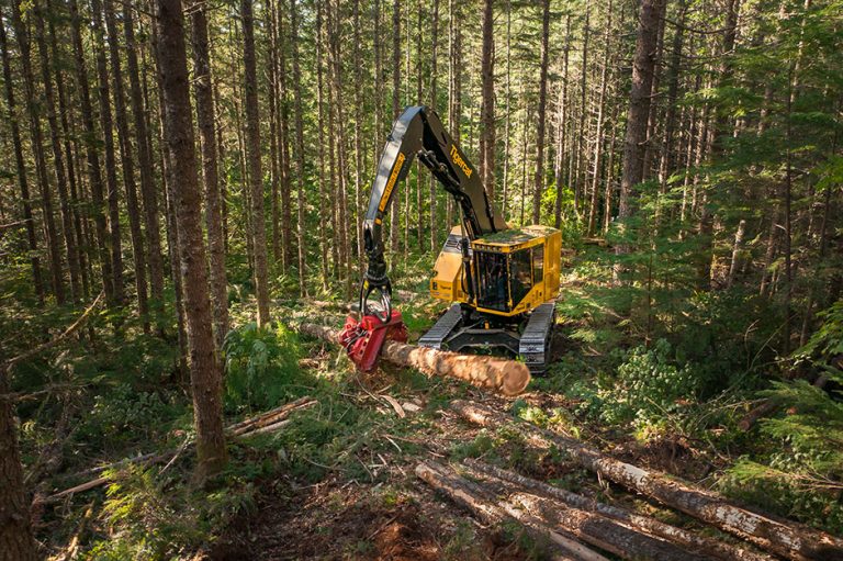 BTB 51: Invested in it | Bryant Logging | Logging Articles | Tigercat