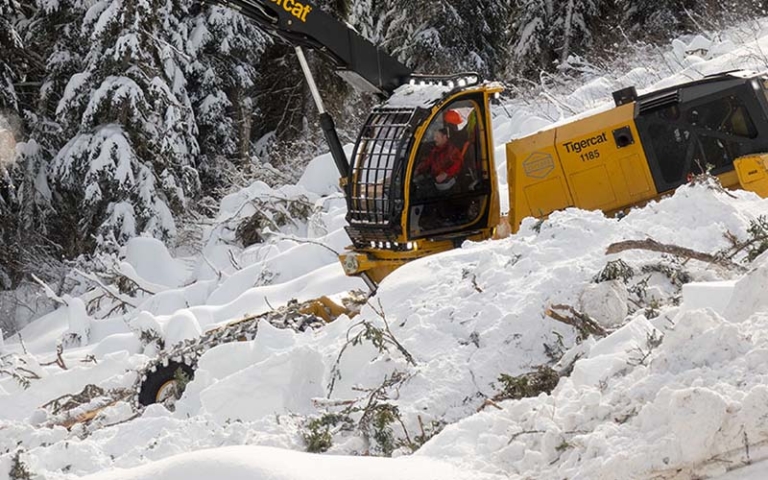 726G Wheel Feller Buncher | Wheeled Tree Cutter | Tigercat Forestry