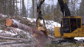 850 Processor | New Releases | Roadside Processing | Tigercat