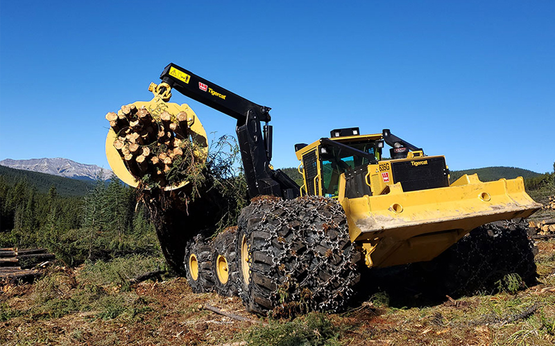 Un secteur forestier solide dans les régions de l'ouest | Between the ...