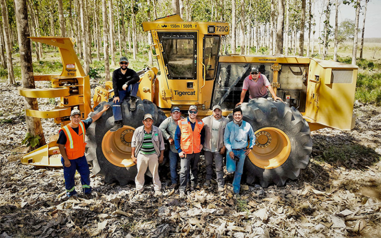 720G Wheel Feller Buncher | Tree Felling | Rubber Tire Cutter | Tigercat