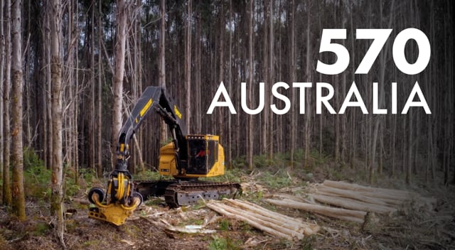 570 Harvesting Head Video | Logging Machines in Action | Tigercat