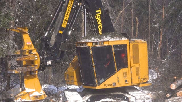 Tigercat Feller Buncher