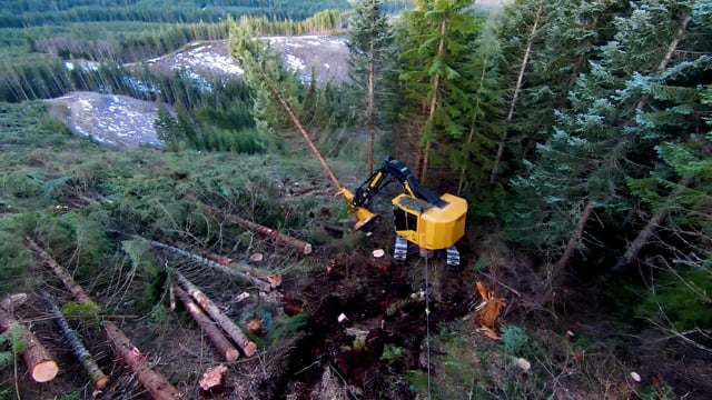 LX830E Feller Buncher | Steep Slope Felling | Tigercat TV