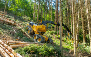 M726G Mulcher | Land Clearing | Tree Mulcher | Tigercat Forestry