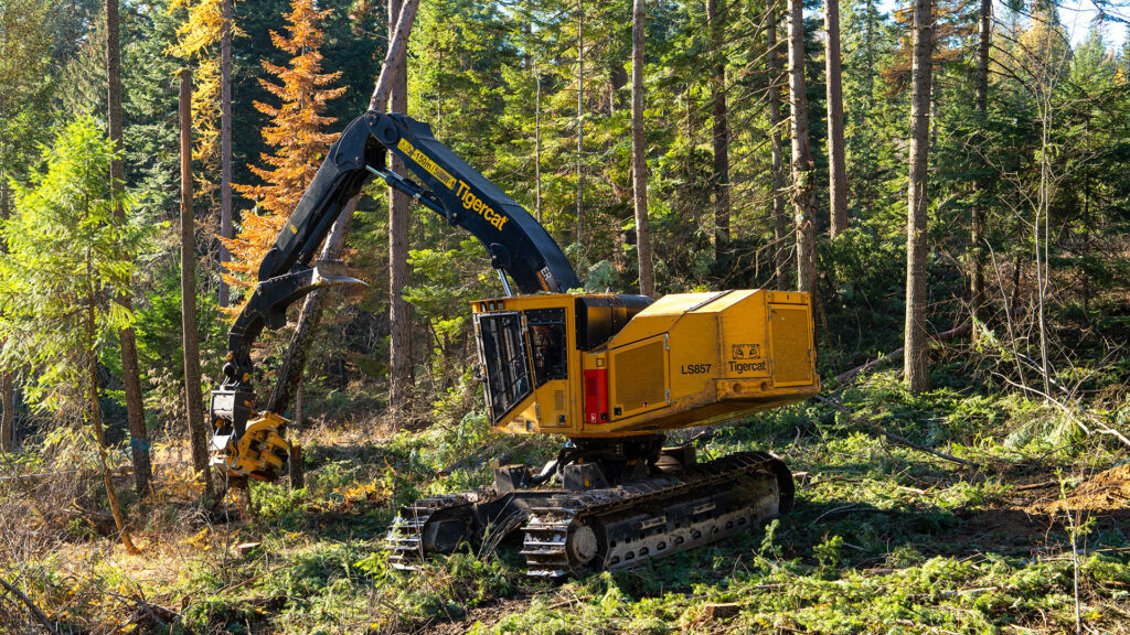 LS857 Shovel Logger Video | Logging Videos | Tigercat TV